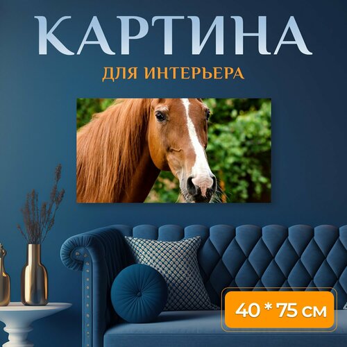 Картина на холсте "Лошадь, кобыла, лиса" на подрамнике 75х40 см. для интерьера