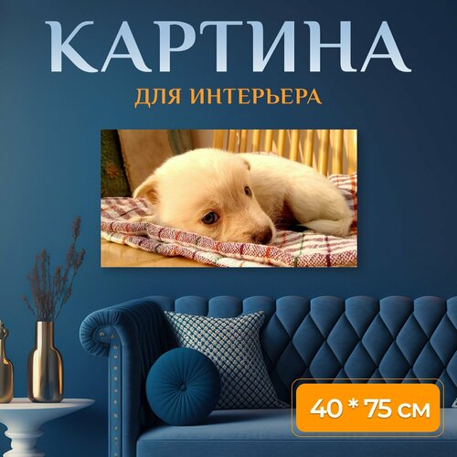 Картина на холсте "Собака, щенок, животное" на подрамнике 75х40 см. для интерьера