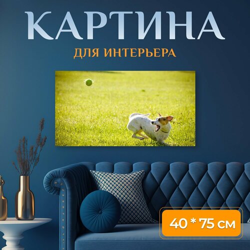 Картина на холсте "Собака, действие, охотиться" на подрамнике 75х40 см. для интерьера