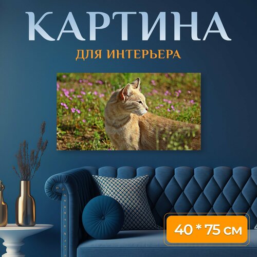 Картина на холсте "Кот, тигровый кот, трава" на подрамнике 75х40 см. для интерьера