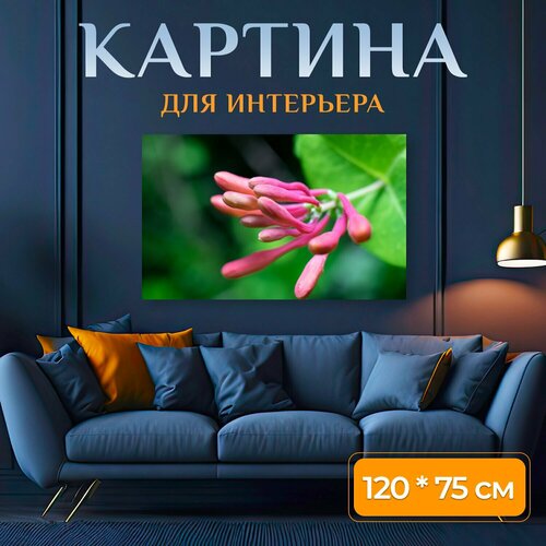 Картина на холсте "Цветок, природа, цвести" на подрамнике 120х75 см. для интерьера