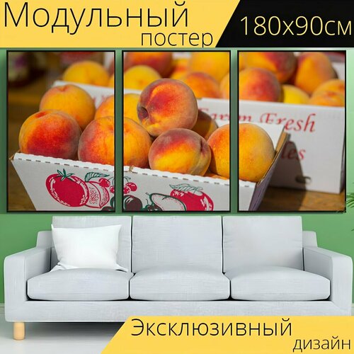 Модульный постер "Персики, свежий, фрукты" 180 x 90 см. для интерьера
