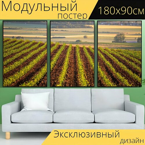 Модульный постер "Поле, кукурузное поле, поля" 180 x 90 см. для интерьера