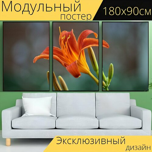 Модульный постер "Цветы, завод, сад" 180 x 90 см. для интерьера