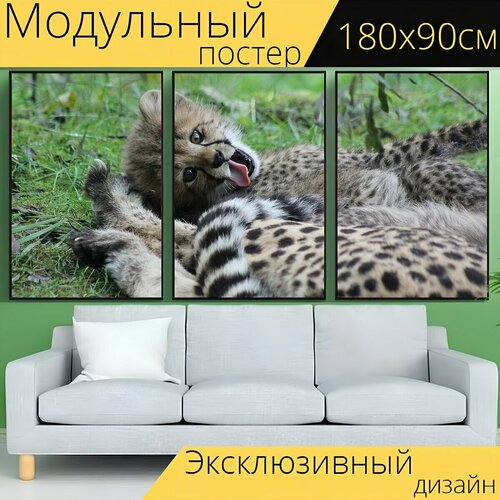 Модульный постер "Гепард, большой кот, хищник" 180 x 90 см. для интерьера