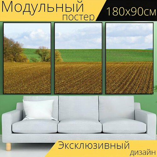 Модульный постер "Пейзаж, поле, луг" 180 x 90 см. для интерьера