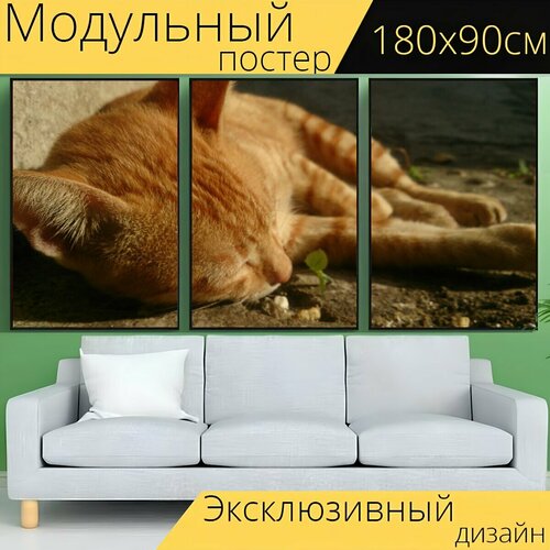 Модульный постер "Кошка, спать, котенок" 180 x 90 см. для интерьера