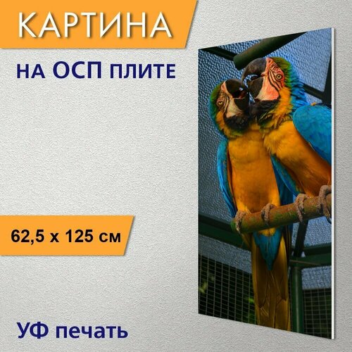 Вертикальная картина на ОСП "Попугаи, зоопарк, птицы" 62x125 см. для интерьериа