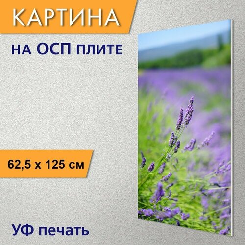Вертикальная картина на ОСП "Сиреневое поле, расцветает, фиолетовый" 62x125 см. для интерьериа