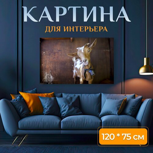 Картина на холсте "Козел, рога, животное" на подрамнике 120х75 см. для интерьера