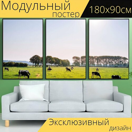 Модульный постер "Крупный рогатый скот, пастбище, корова" 180 x 90 см. для интерьера