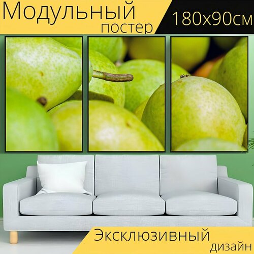 Модульный постер "Груши, фрукты, спелый" 180 x 90 см. для интерьера