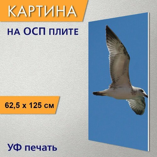 Вертикальная картина на ОСП "Чайка, птица, полет" 62x125 см. для интерьериа
