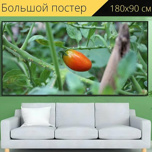 Большой постер "Сад, помидор, овощи" 180 x 90 см. для интерьера