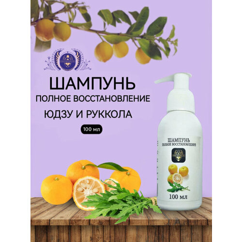 Шампунь полное восстановление, Shams Natural Oils, с дозатором, 100 мл.