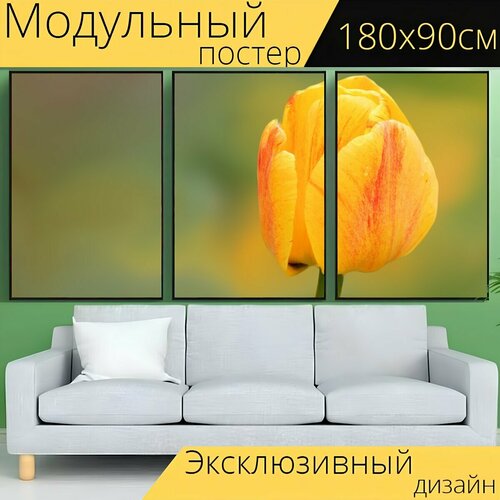 Модульный постер "Цветок, цвести, желтый" 180 x 90 см. для интерьера