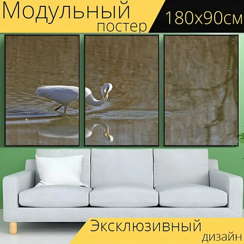 Модульный постер "Белая цапля, природа, птица" 180 x 90 см. для интерьера