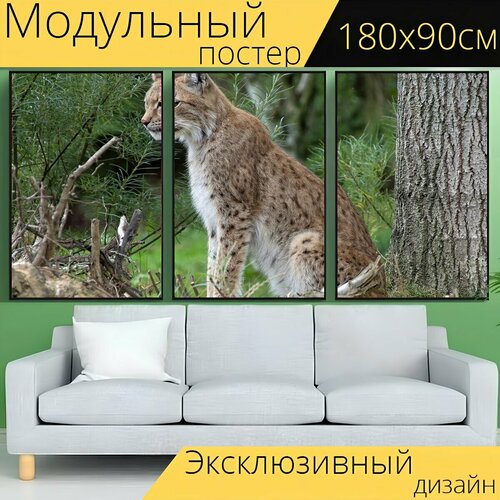 Модульный постер "Хищник, кошка, животный мир" 180 x 90 см. для интерьера