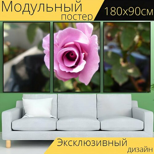 Модульный постер "Цветы, розы, растения" 180 x 90 см. для интерьера