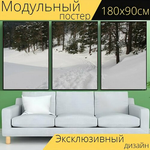 Модульный постер "Снежный путь, снег, зима" 180 x 90 см. для интерьера