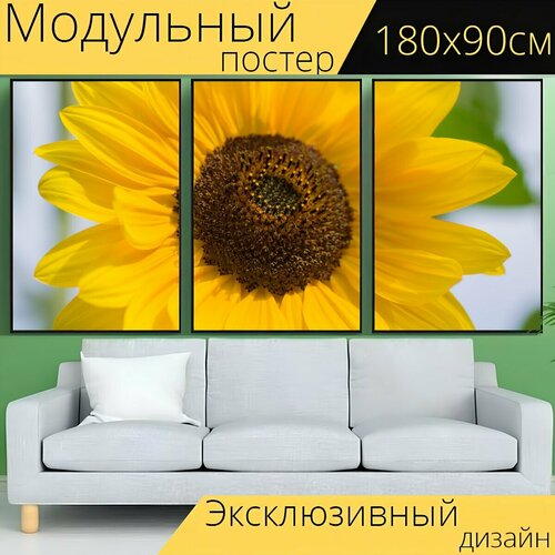 Модульный постер "Подсолнух, желтый, летом" 180 x 90 см. для интерьера