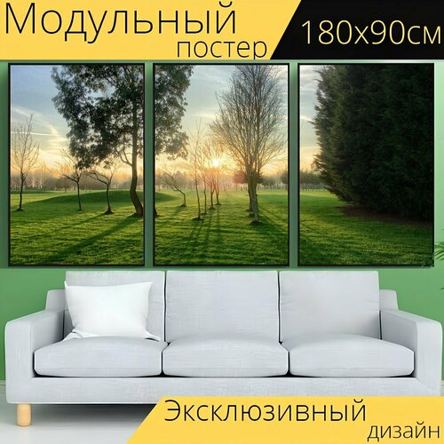 Модульный постер "Деревья, пейзаж, солнечный свет" 180 x 90 см. для интерьера