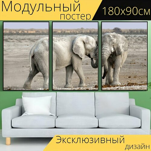 Модульный постер "Слоны, животные, сафари" 180 x 90 см. для интерьера
