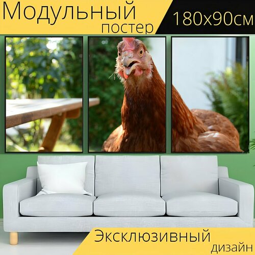 Модульный постер "Курица, летом, птица" 180 x 90 см. для интерьера