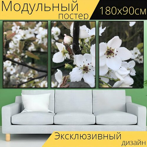 Модульный постер "Белый, цветок, цвести" 180 x 90 см. для интерьера