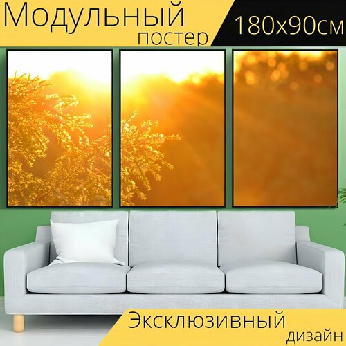Модульный постер "Деревья, растения, заход солнца" 180 x 90 см. для интерьера