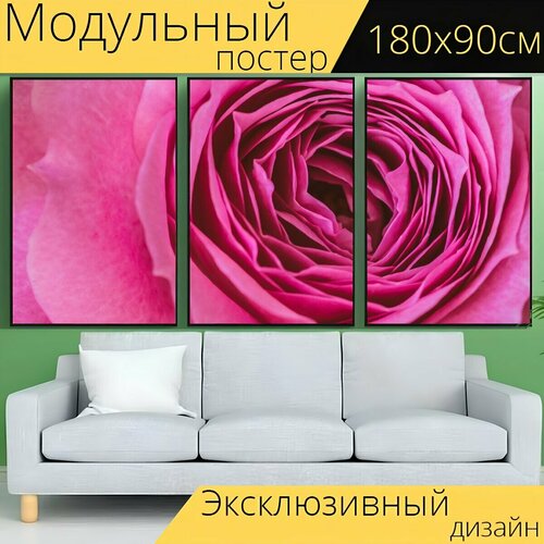 Модульный постер "Роза, цвести, лепестки" 180 x 90 см. для интерьера