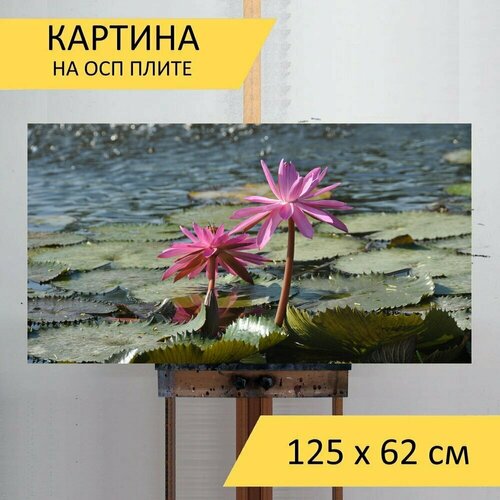 Картина на ОСП 125х62 см. "Водяные лилии, цветок, блум" горизонтальная, для интерьера, с креплениями