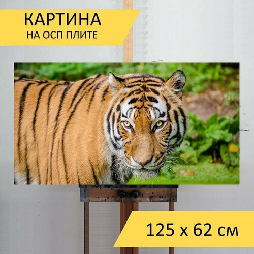 Картина на ОСП 125х62 см. "Животное, большой кот, тигр" горизонтальная, для интерьера, с креплениями