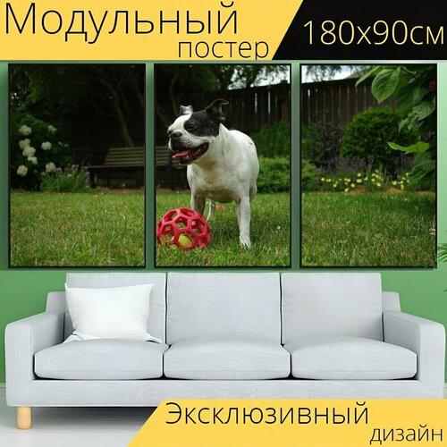 Модульный постер "Трава, собака, животное" 180 x 90 см. для интерьера