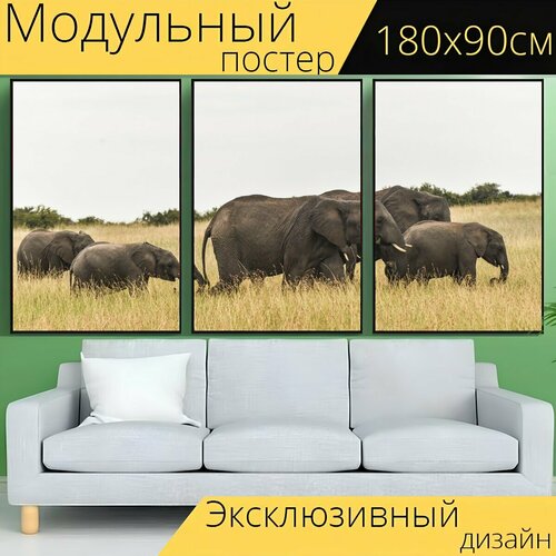 Модульный постер "Слон, дикая природа, слоны" 180 x 90 см. для интерьера