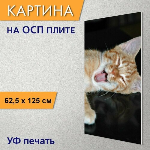 Вертикальная картина на ОСП "Кот, котенок, усталый" 62x125 см. для интерьериа