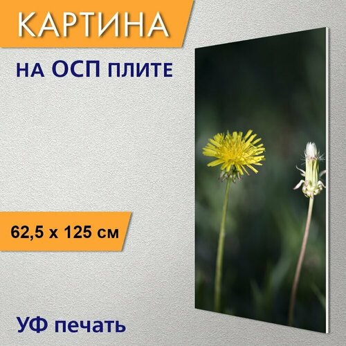 Вертикальная картина на ОСП "Одуванчик, сорняк, цветок" 62x125 см. для интерьериа