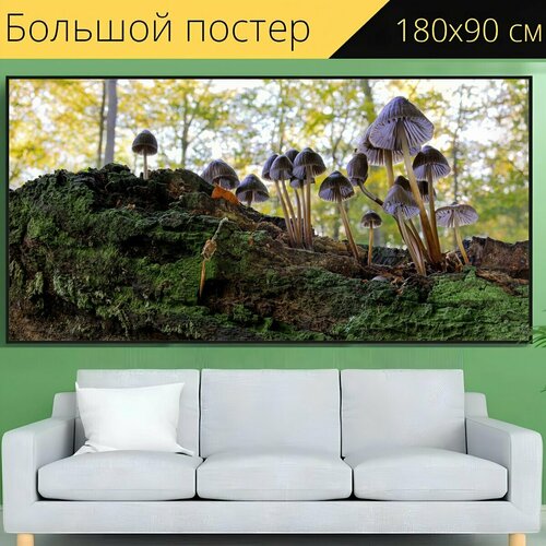 Большой постер "Грибы, лес, природа" 180 x 90 см. для интерьера