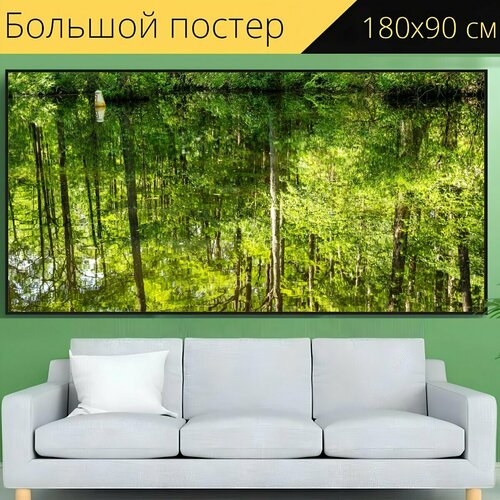 Большой постер "Отражение кипарисовый лес, кипарис пруд, пруд" 180 x 90 см. для интерьера