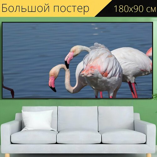 Большой постер "Камарг, фламинго, птицы" 180 x 90 см. для интерьера