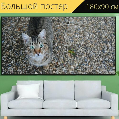 Большой постер "Кошка, кошачий, полосатый" 180 x 90 см. для интерьера