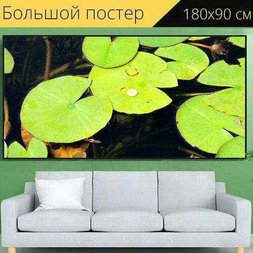 Большой постер "Кувшинка, водное растение, вода" 180 x 90 см. для интерьера