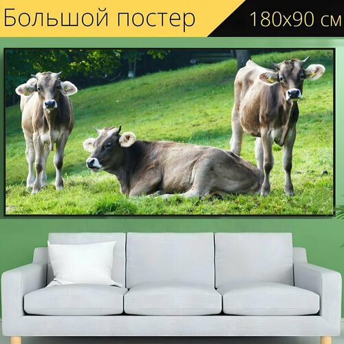 Большой постер "Природа, сельское хозяйство, коровы" 180 x 90 см. для интерьера