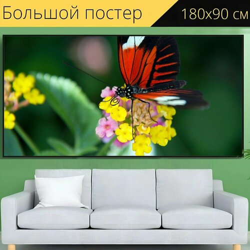 Большой постер "Бабочка, цветы, природа" 180 x 90 см. для интерьера