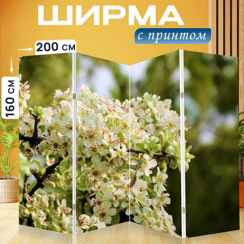 Ширма перегородка с принтом "Цветок, дерево, ветвь" на холсте - 200x160 см. для зонирования, раскладная
