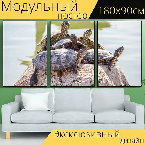 Модульный постер "Черепаха, рептилия, природа" 180 x 90 см. для интерьера