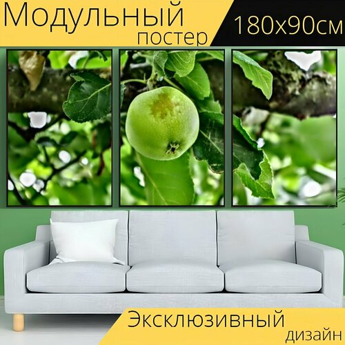 Модульный постер "Яблоко, фрукты, родные" 180 x 90 см. для интерьера