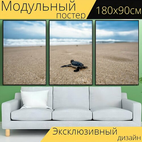 Модульный постер "Черепаха, пляж, детеныш" 180 x 90 см. для интерьера