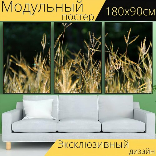 Модульный постер "Естественный, трава, весна" 180 x 90 см. для интерьера