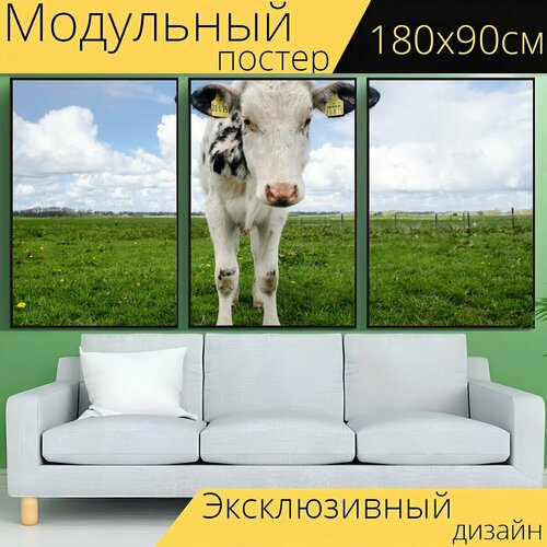 Модульный постер "Корова, телец, молодой" 180 x 90 см. для интерьера